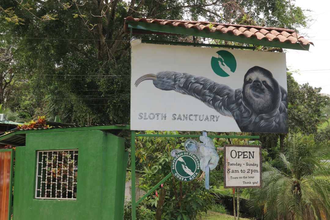Hangin’ around in trees – die Faultiere im Sloth Sanctuary in Costa Rica