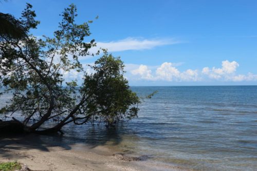 Ausflug zu Siete Altares bei Livingston – das Mini-Me von Semuc Champey