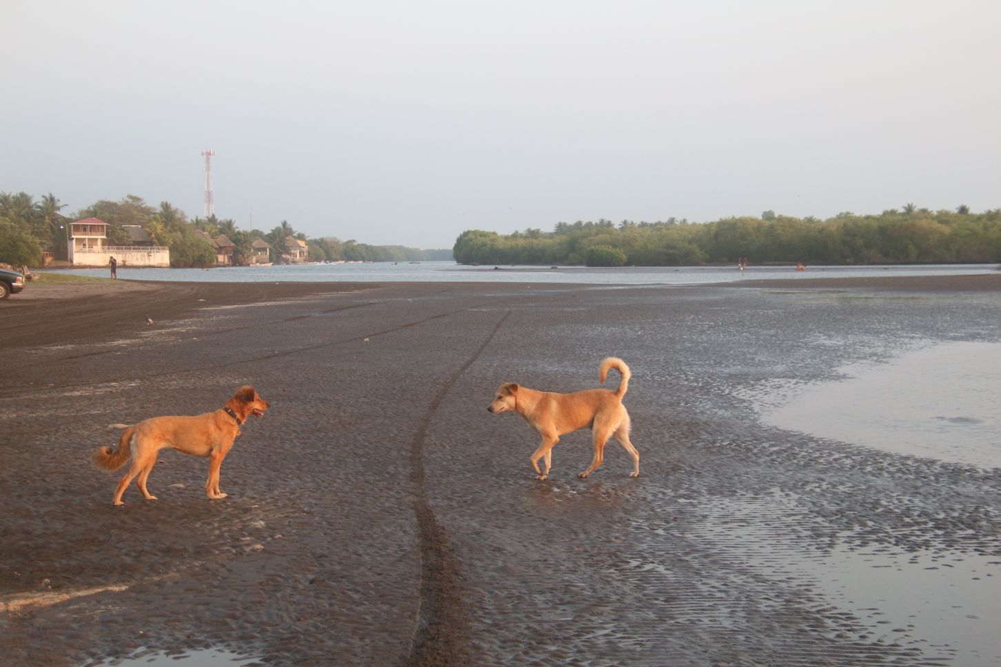 Die Pazifikküste von Guatemala – die Strände in Guatemala