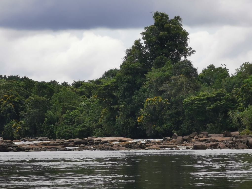 Besuch der Danpaati River Lodge in Suriname – vier Tage auf einer Insel